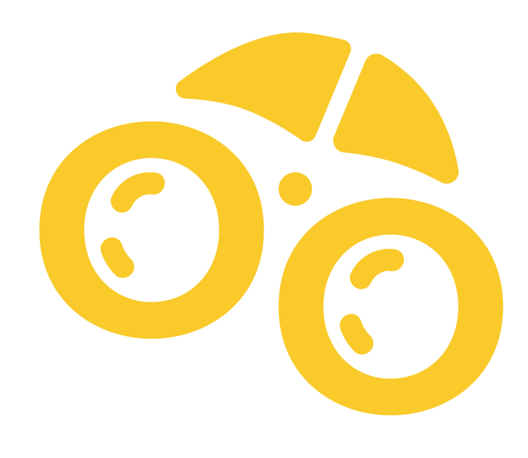 Swoop Vehicle Inspections